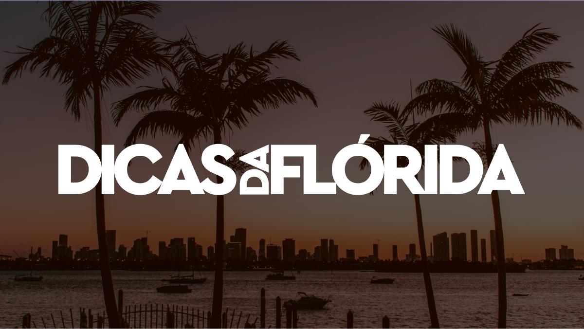 Como é e o que fazer em Miami em Fevereiro - 2025 - Dicas da Flórida ...